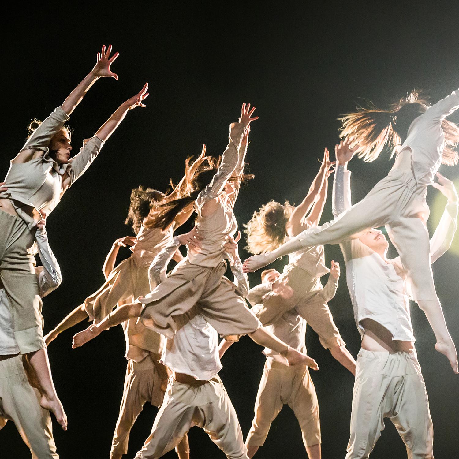 Transition to Professional Practice - Northern School of Contemporary Dance