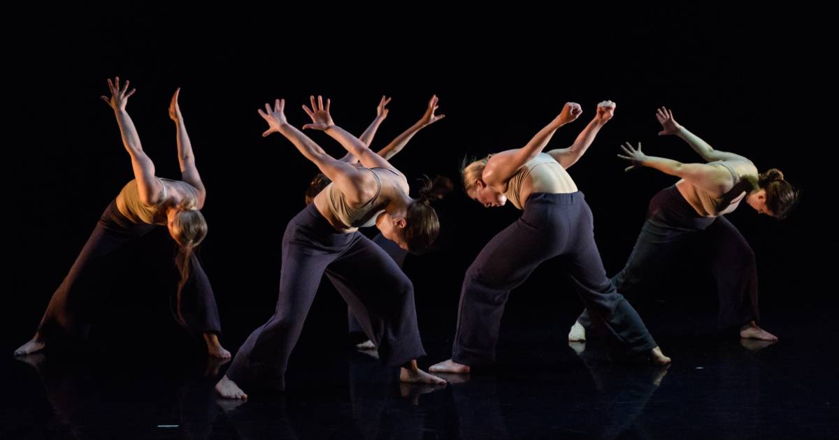 Flock Fest: Artist Call Out - Northern School of Contemporary Dance